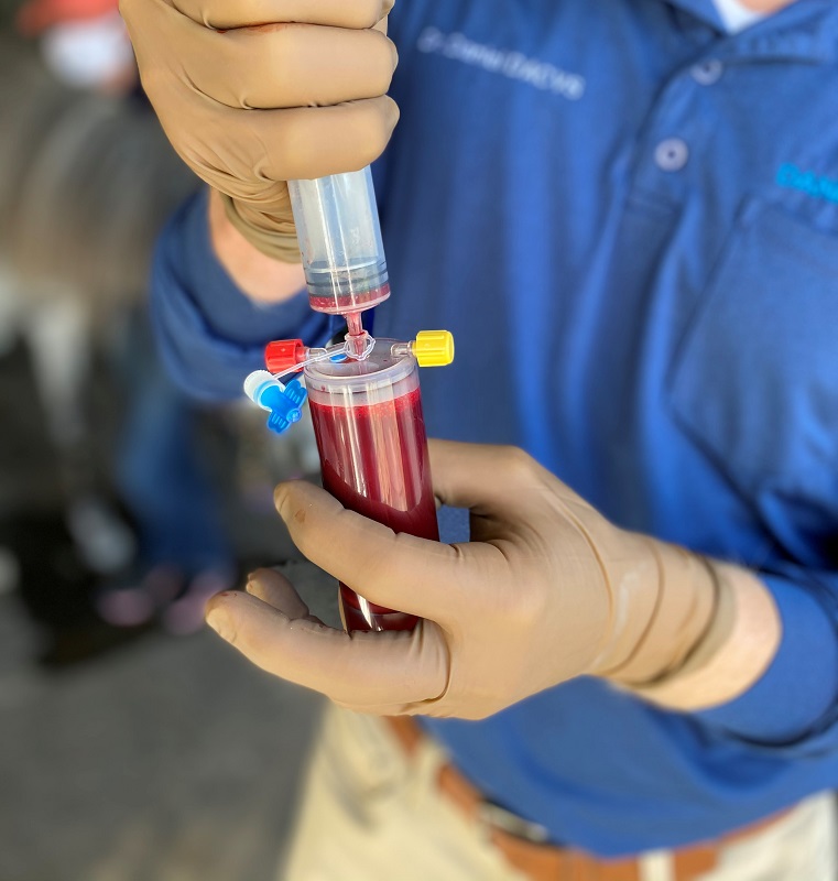 PRP vs Prostride vs IRAP | Daniel Equine Services